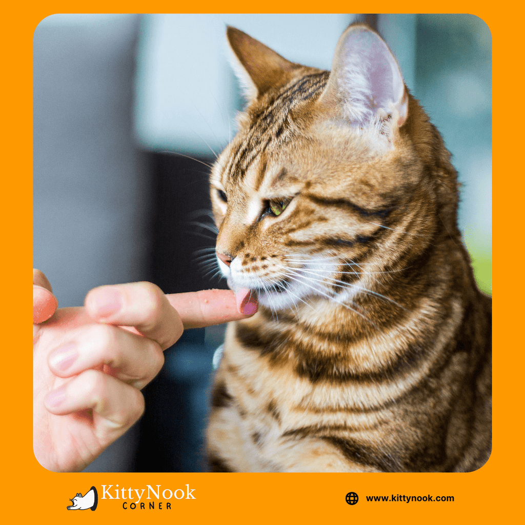 Can Cats Eat Peanut Butter? A Comprehensive Guide - Best Cat Blog ...