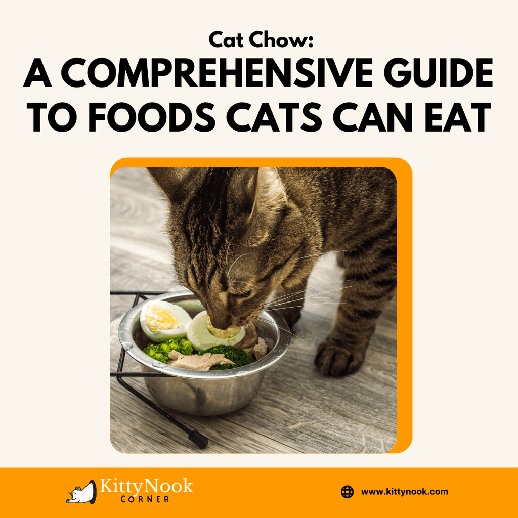 Cat Chow: A Comprehensive Guide to Foods Cats Can Eat – KittyNook Cat Co.