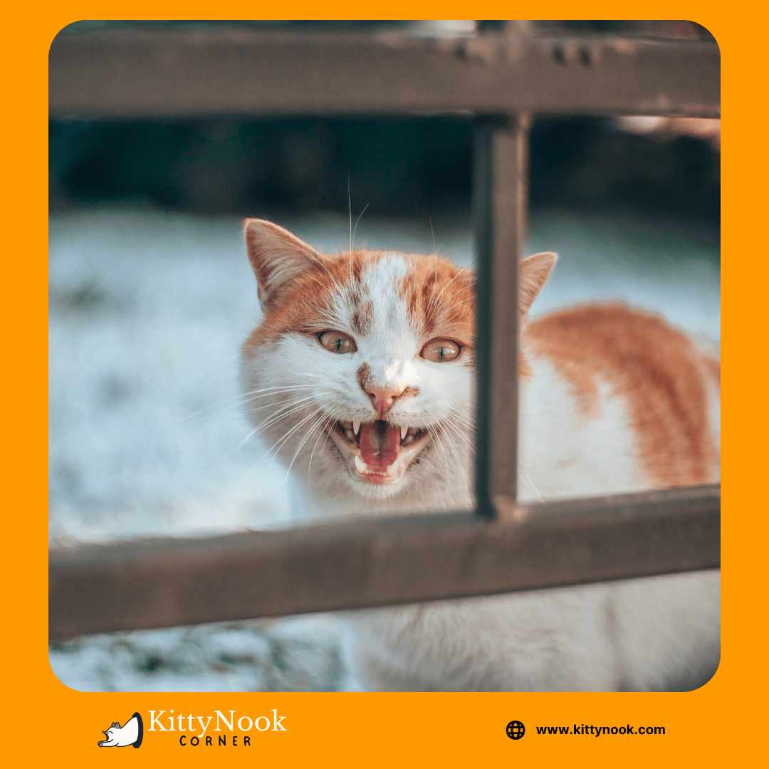 Creating A Cozy Cat Winter Shelter: A Guide to Keeping Cats Warm in ...