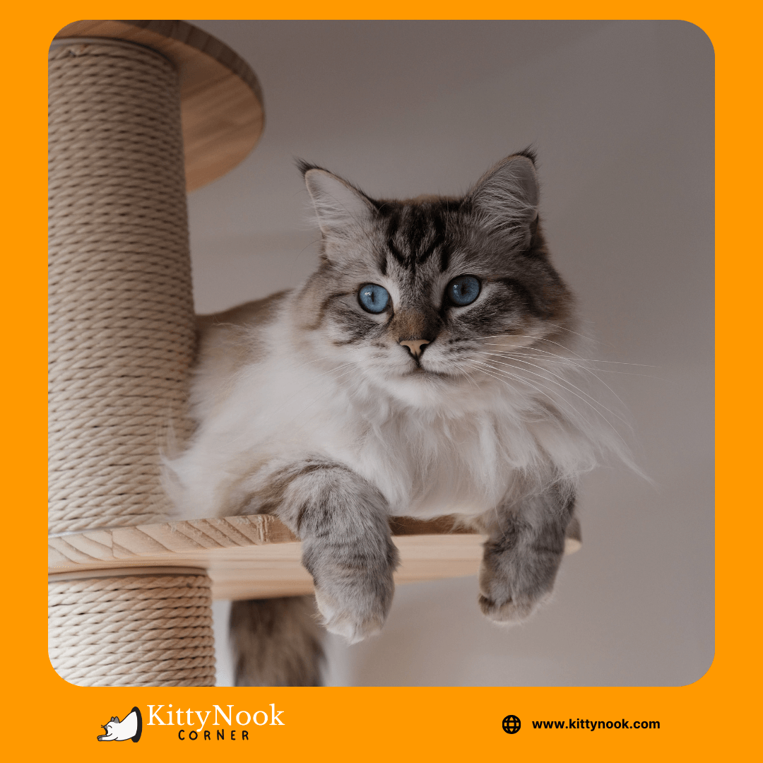 Creating a DIY Cat Tree: Fun and Functional – KittyNook Cat Co.