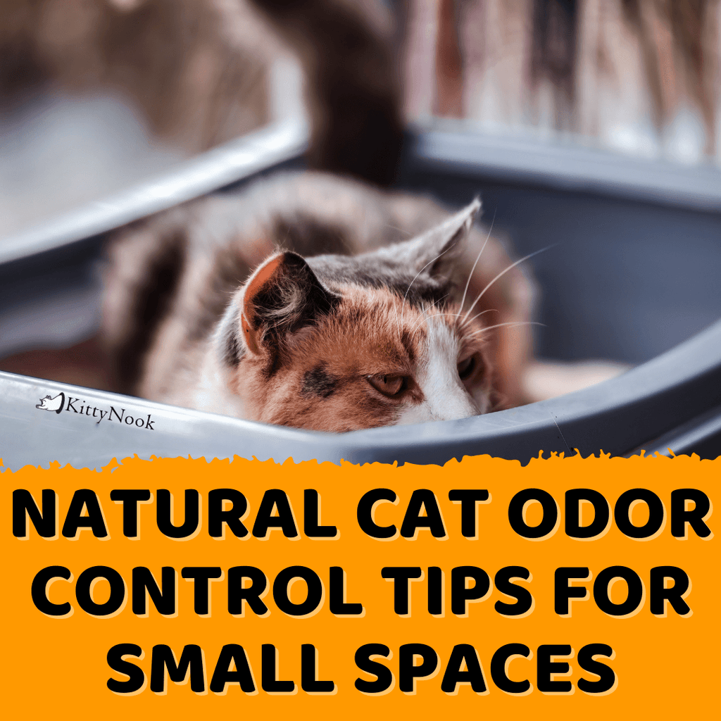Natural Cat Odor Control Tips for Small Spaces – KittyNook Cat Co.