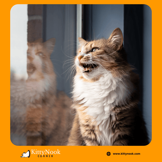 The Purr-fect Symphony: Decoding the Language of Cat Sounds - Best Cat ...