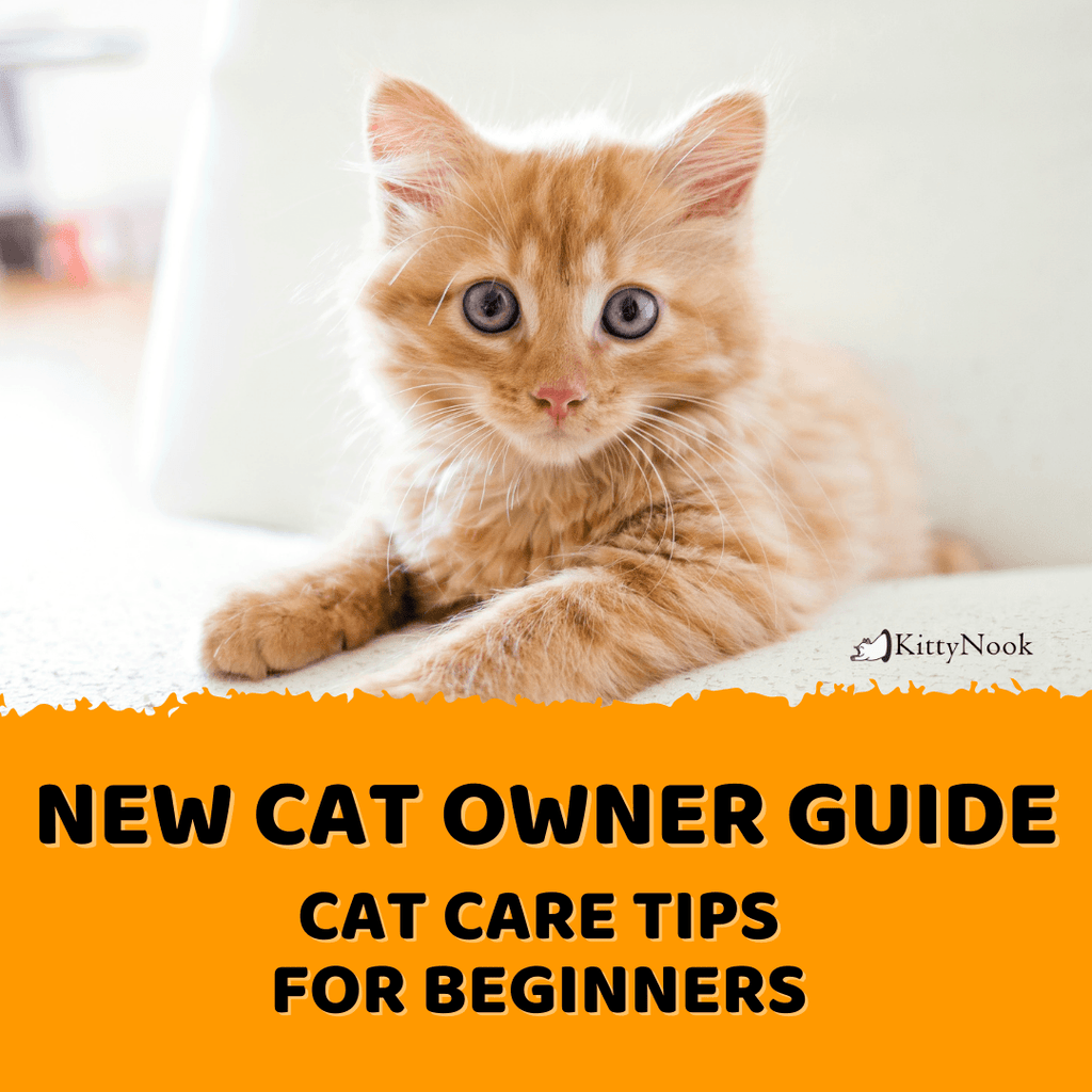 Top Cat Care Tips for Beginners | New Cat Owner Guide – KittyNook Cat Co.