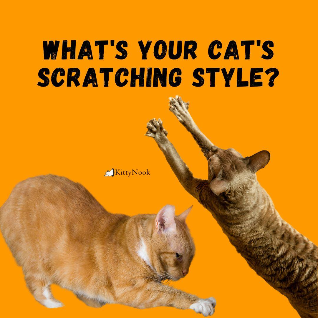 ¿Cuál es el estilo de rascado de tu gato? – KittyNook Cat Co.